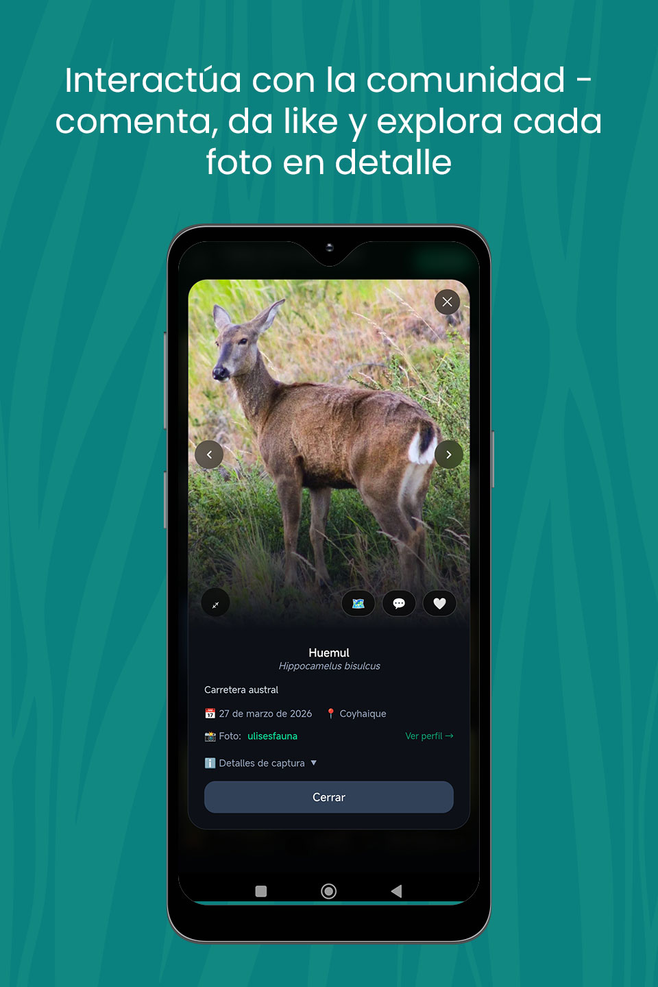 Guardian de la Fauna